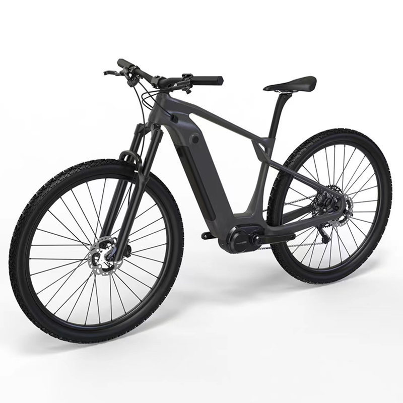Entertainment or exercise electric bike, carbon fiber