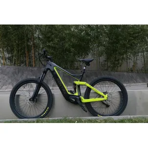 carbon fiber frame e-bike