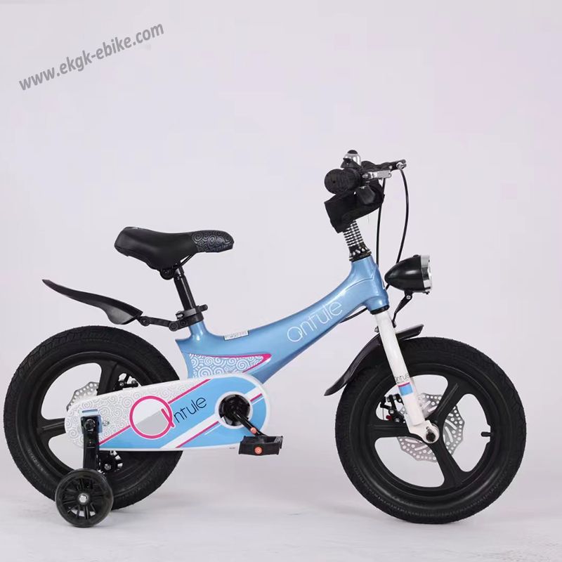 Magnesium alloy integrated wheel double disc brake children's bicycle