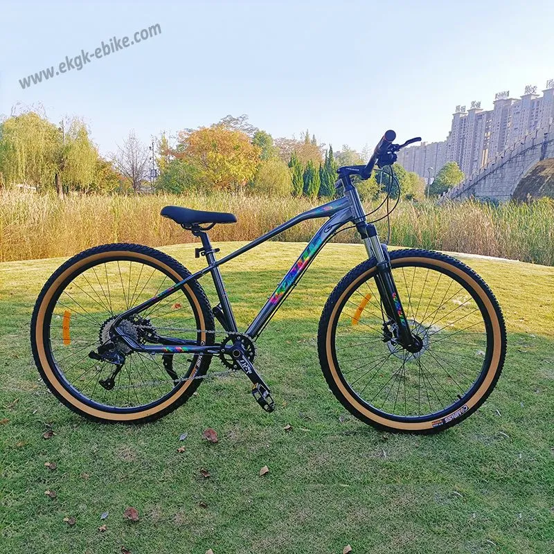 L-TWOO 24 speed mountain bike, aluminum alloy mtb