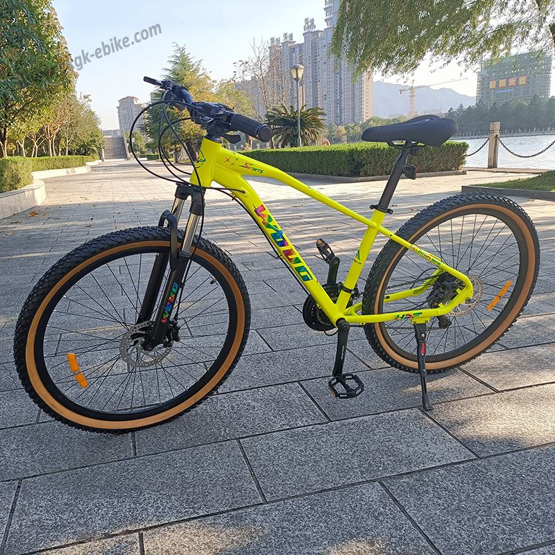 L-TWOO 24 speed mountain bike, aluminum alloy mtb