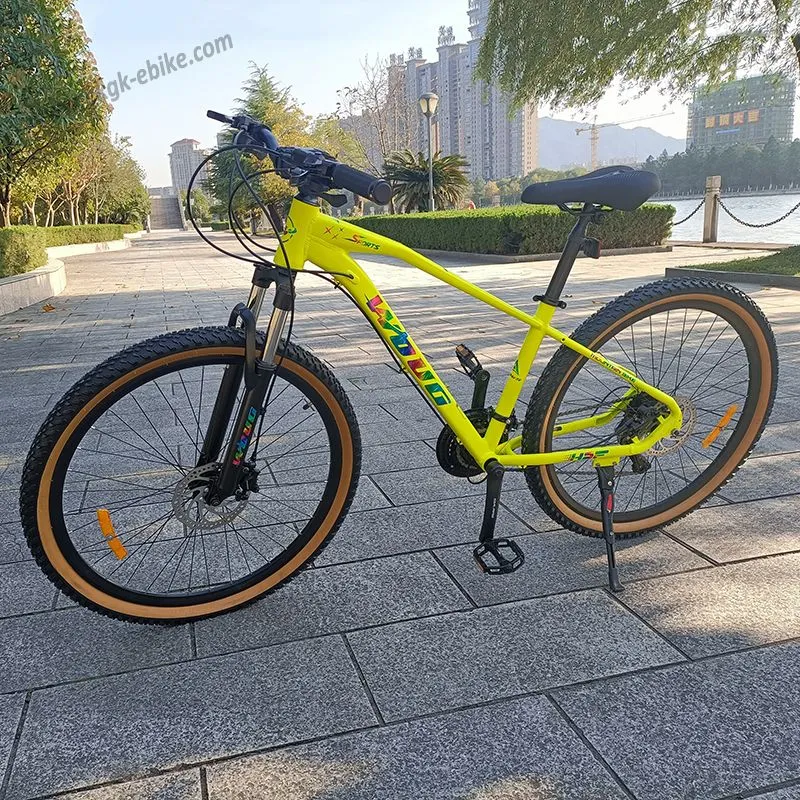 L-TWOO 24 speed mountain bike, aluminum alloy mtb