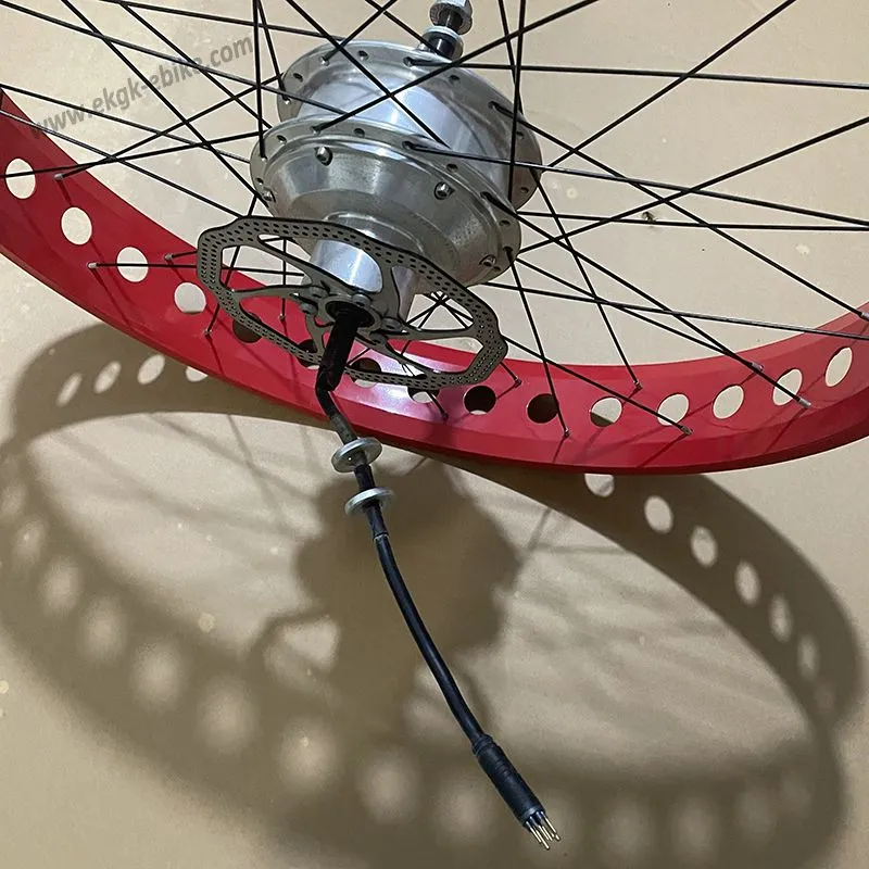Spoke wheel rim, electric bike rim with motor export