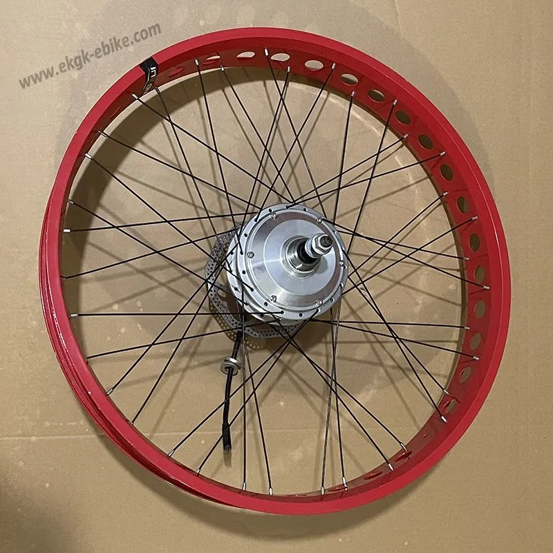 Spoke wheel rim, electric bike rim with motor export