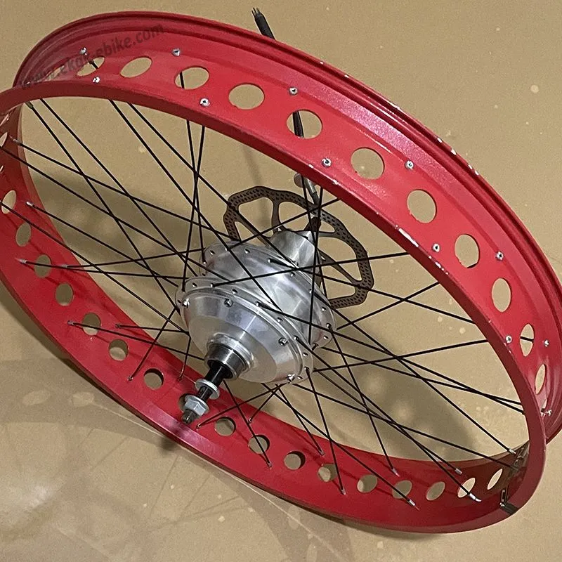 Spoke wheel rim, electric bike rim with motor export