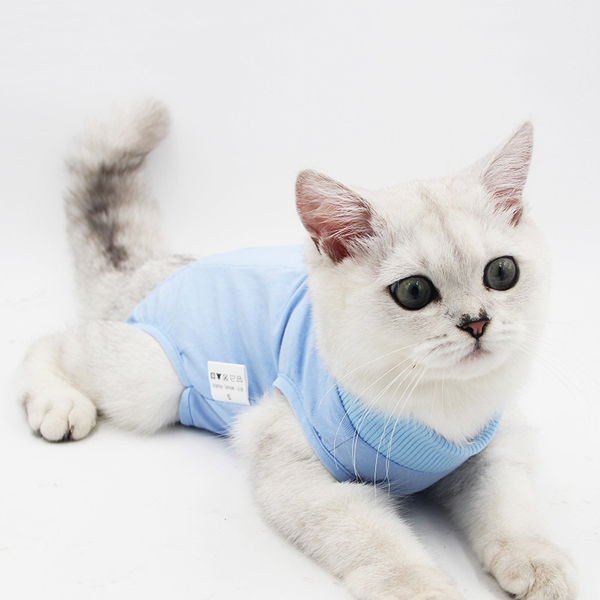 cat recovery suit,recovery suit for cats,pet recovery suit