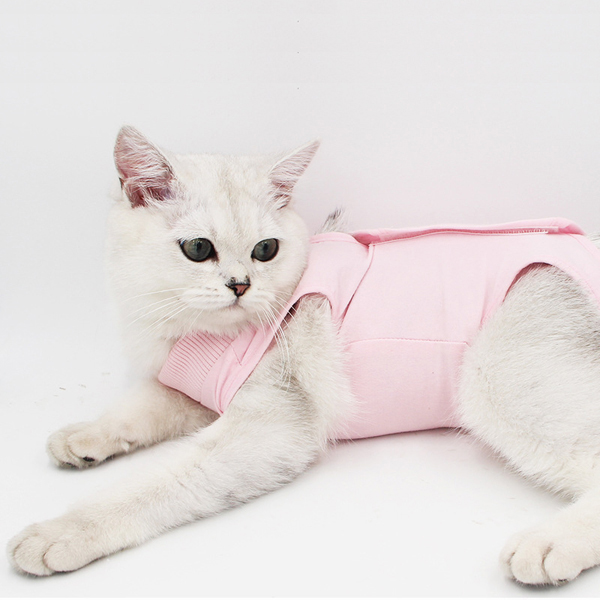 cat recovery suit,recovery suit for cats,pet recovery suit
