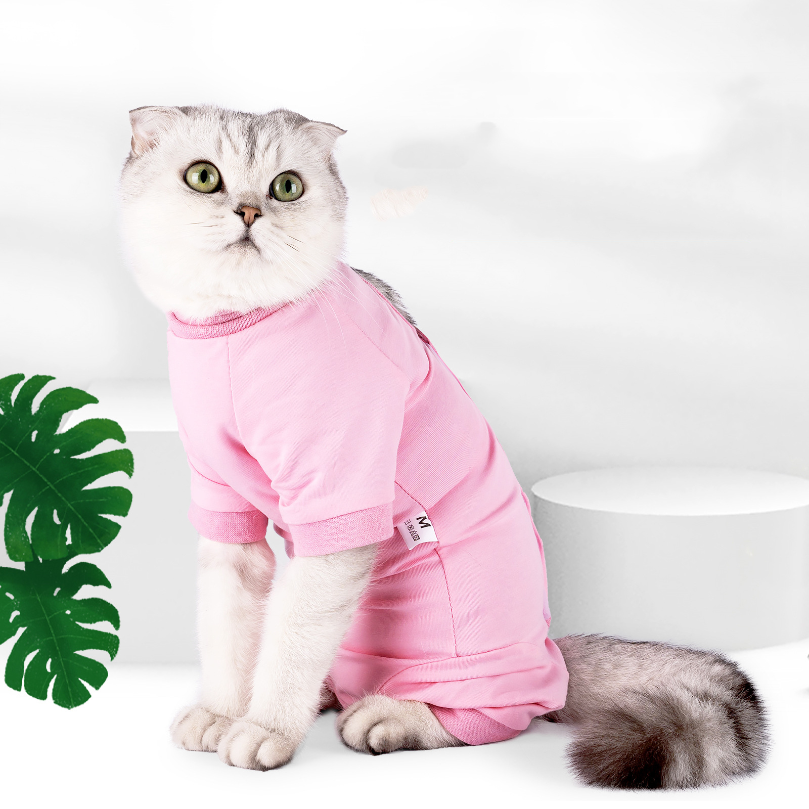 cat recovery suit,recovery suit for cats,pet recovery suit