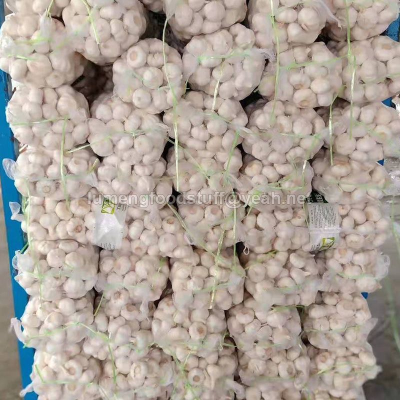 Fresh garlic wholesaler,Normal White Garlic,garlic