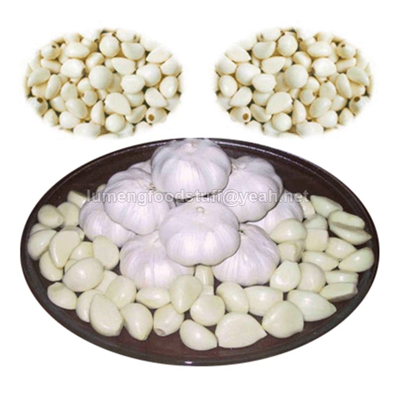 Fresh garlic wholesaler,Normal White Garlic,garlic