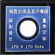 Custom LCD Displays, Customized LCD Module