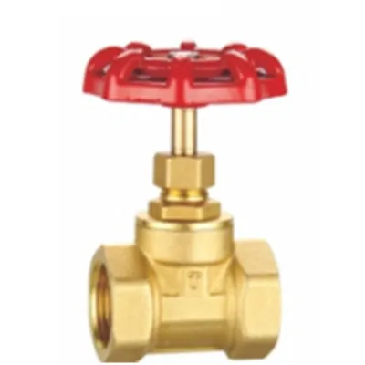 Brass Valves