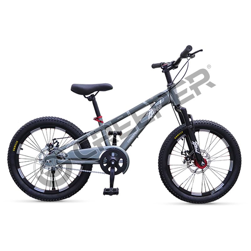 SU-BJQ04 Student bikes