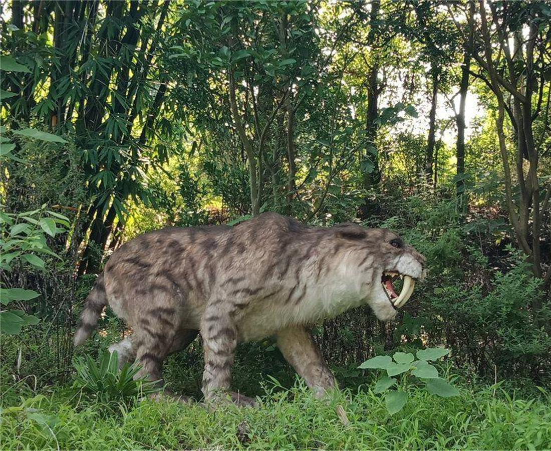 Our simulation animals are lifelike and full of energy.