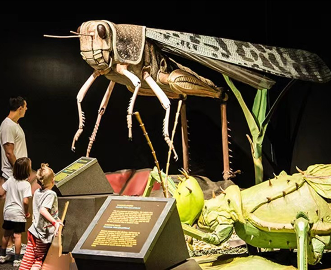 Our simulation animals are lifelike and full of energy.