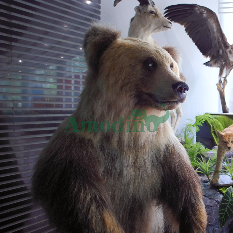 Animatronic Simulation Bears – Realistic Life-Size for Exhibitions