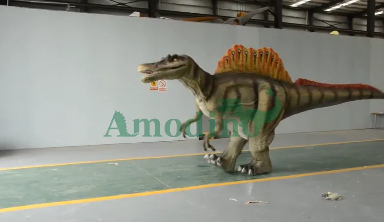 Customizable Spinosaurus Costume for Show