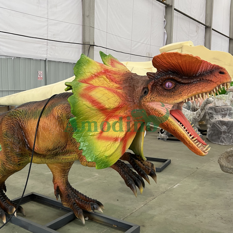 Life Size Orange Dilophosaurus for Dinopark
