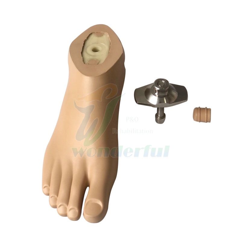 Waterproof and Non-Slip Sach Foot with plastic core and adapter