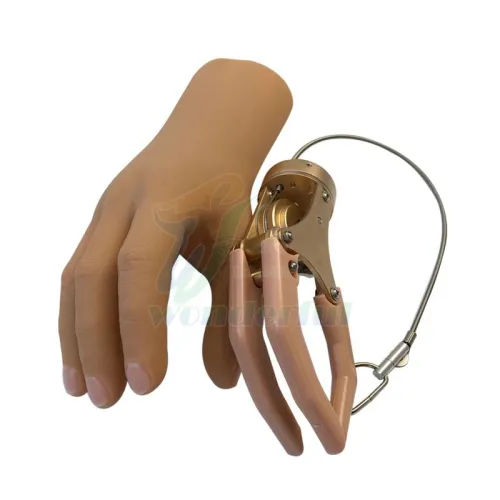 Artificial limbs Cable Control Mechanical Hand Prostheses for BE