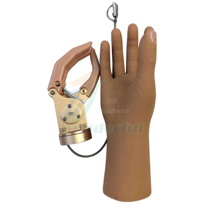 Artificial limbs Cable Control Mechanical Hand Prostheses for BE