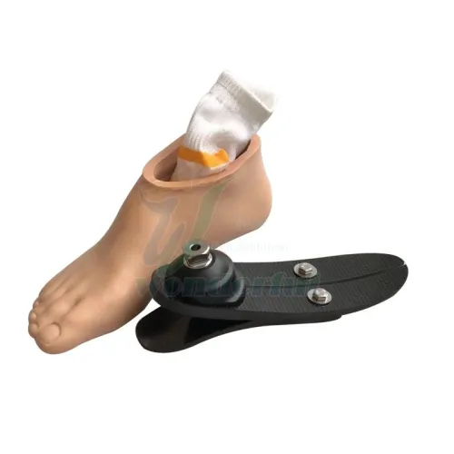 Prosthetic Foot Low Ankle Carbon Fiber Foot