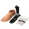 High Ankle Carbon Fiber Elastic Foot with Aluminum Adaptor