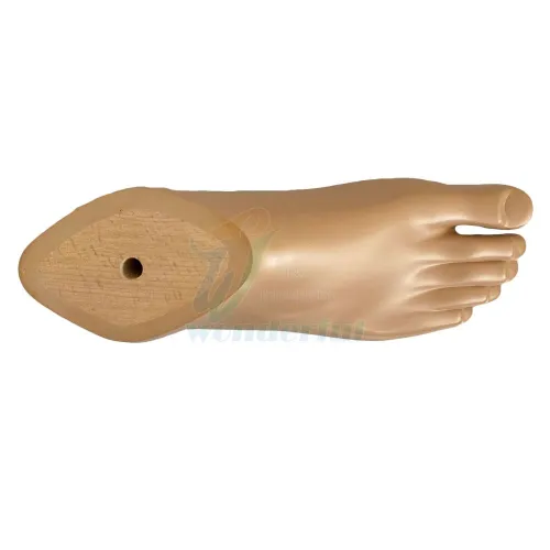 Polyurethane Wood Sach Foot beige brown