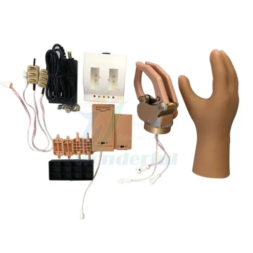 Prosthetic Limbs Upper Limbs Myoelectric Control Prosthetic Half Hand