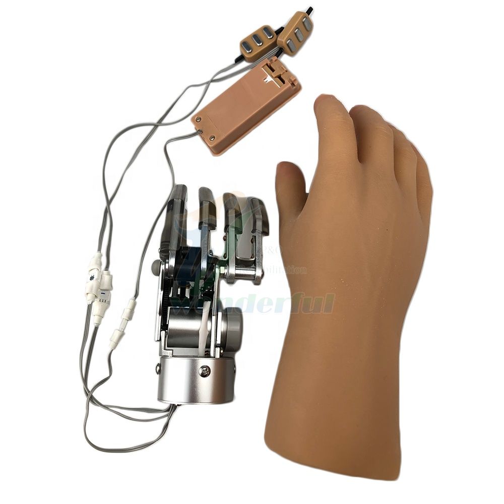 Upper Limbs Myoelectric Control Prosthetic Hand