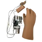 Prosthetic Limbs Upper Limbs Myoelectric Control Prosthetic Hand