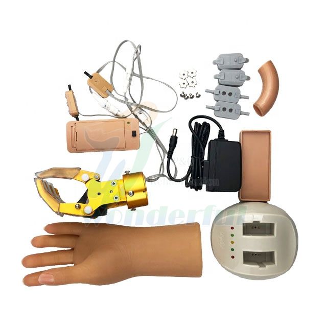 Children's Upper Limb Prosthetic Myoelectric Hand