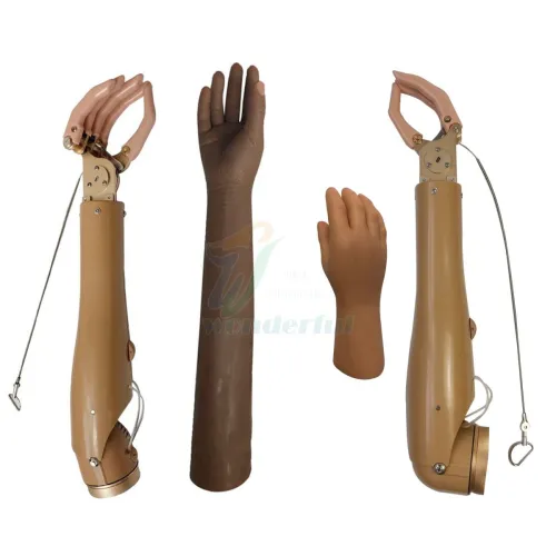 Artificial limbs Cable Control Mechanical Hand prosthetic hand