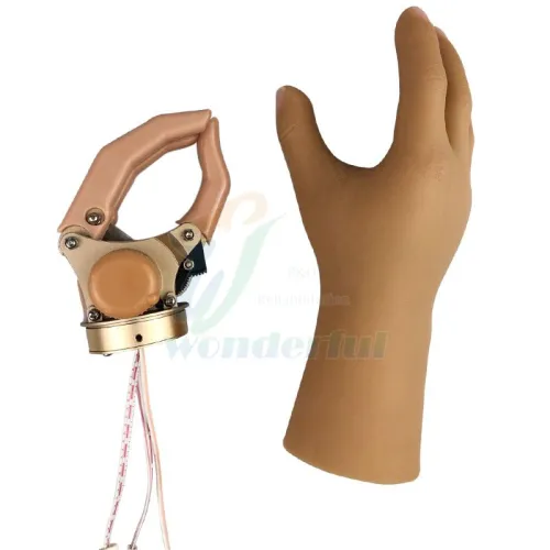 Prosthetic Limbs Upper Limbs Myoelectric Control Prosthetic Half Hand