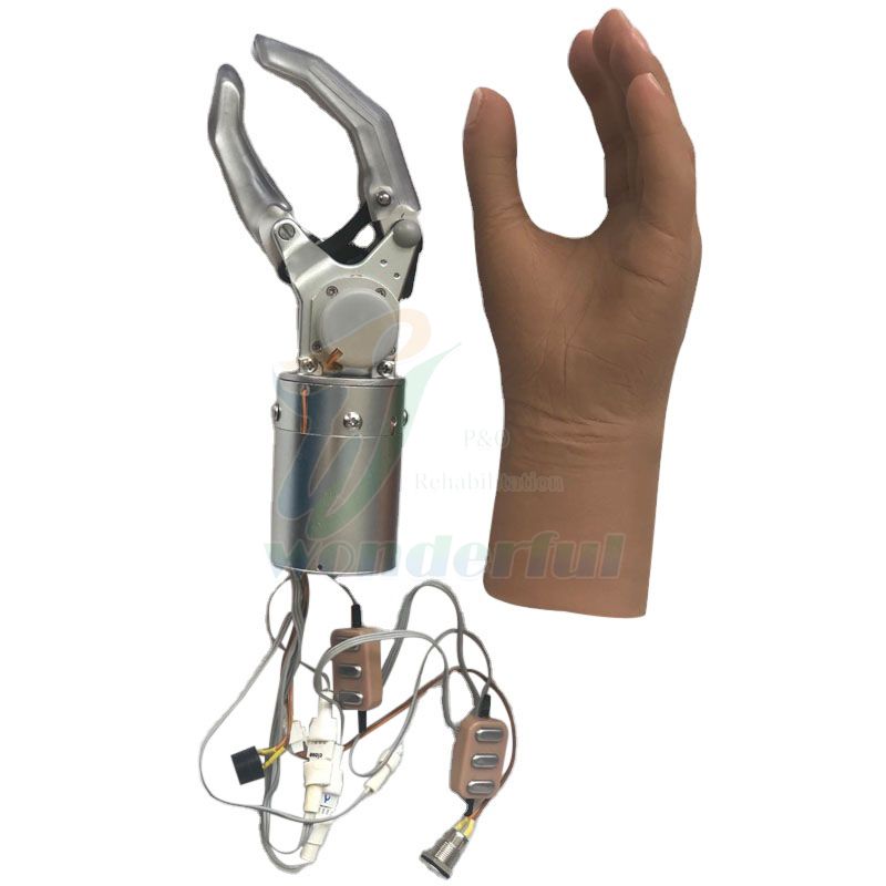 Myoelectric Control Hand Two Degrees Of Freedom for below elbow
