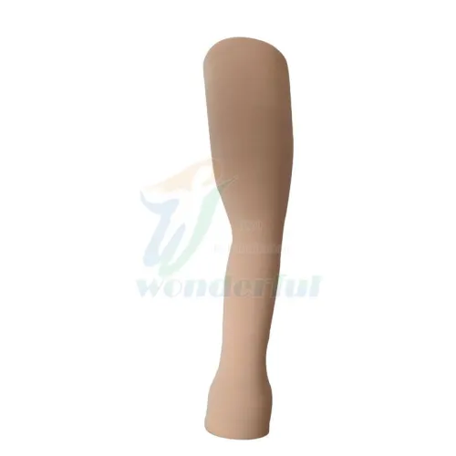 AK Cosmetic Foam Cover Prosthetic Leg Pre-Shape