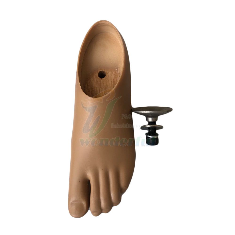 Prosthetic Ankle Joint,Syme foot adapter,ankle prosthesis
