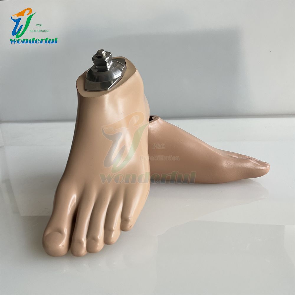 Advanced Carbon Fiber Energy Storage Sach Foot