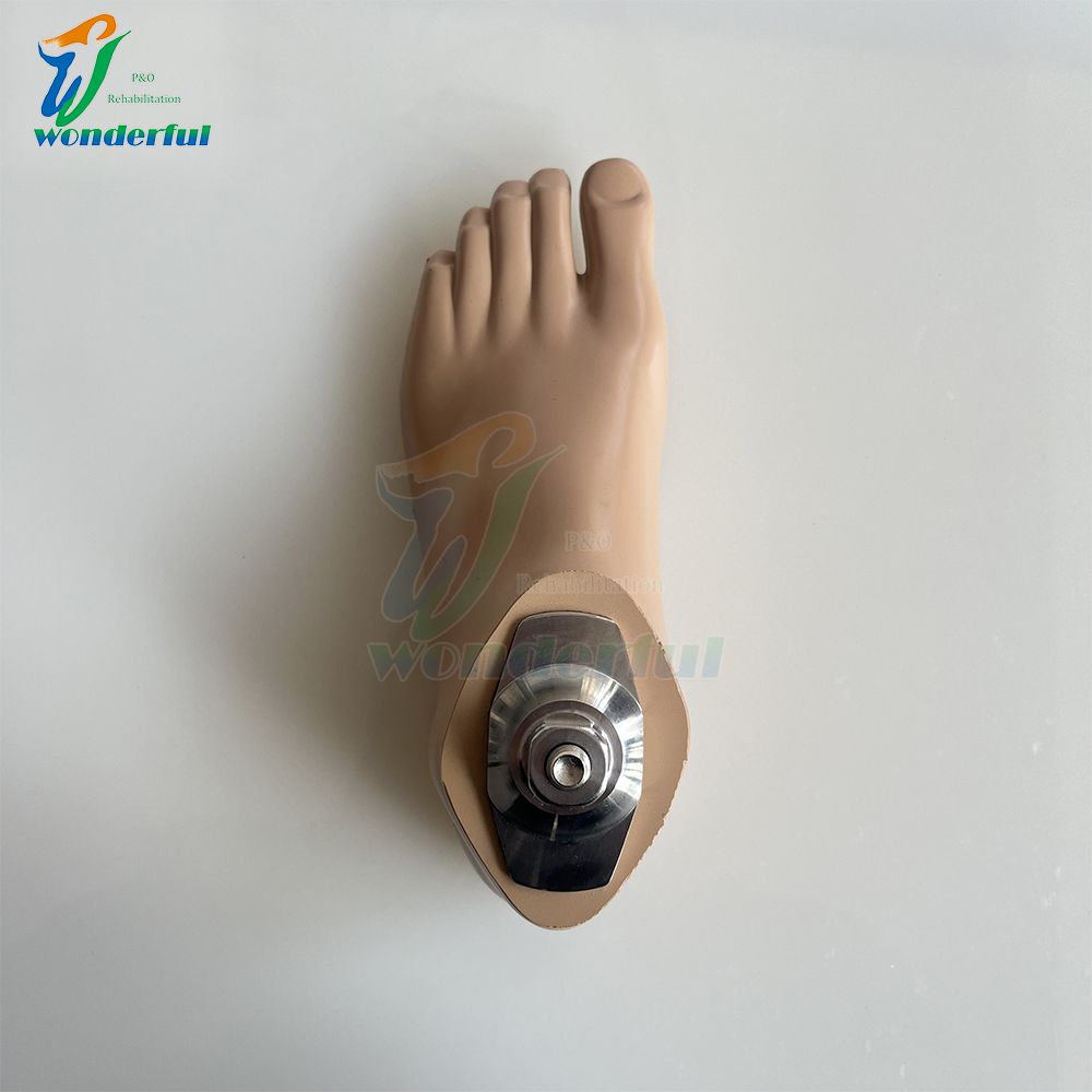 prosthetic foot,artificial foot， Storage Energy Sach Foot