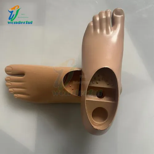Prosthetic Uniaxial Polyurethane Foot