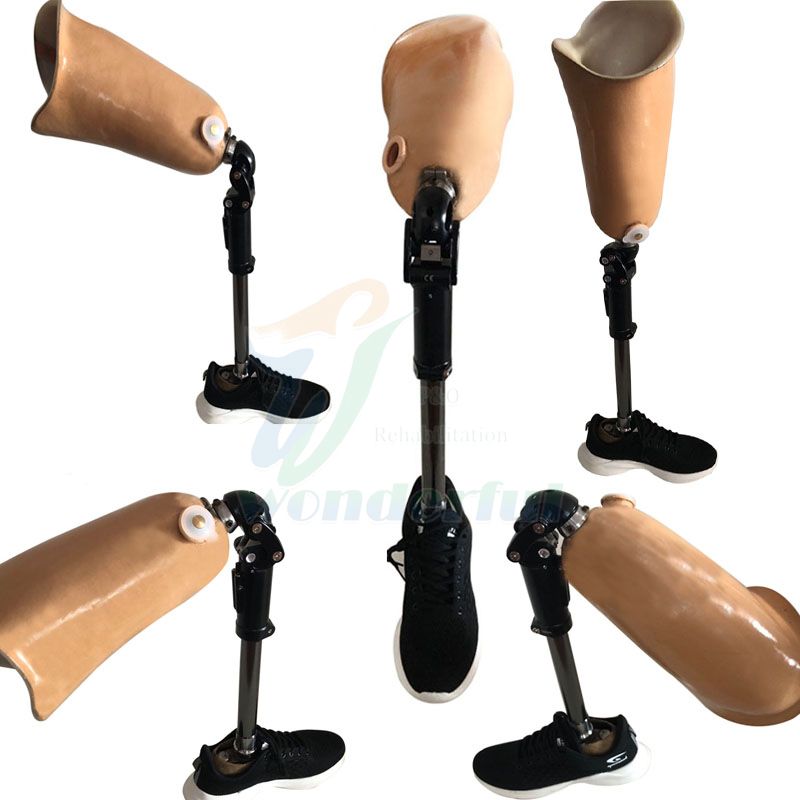 Common Types Of Custom Prosthetic Joints, Sockets, And Connectors