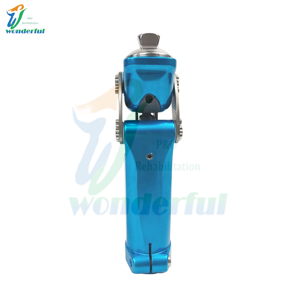 Pneumatic knee joint ,Knee Joint, Prosthetic Knee Joint