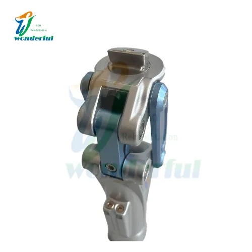 Pneumatic knee joint prosthetic knee joint