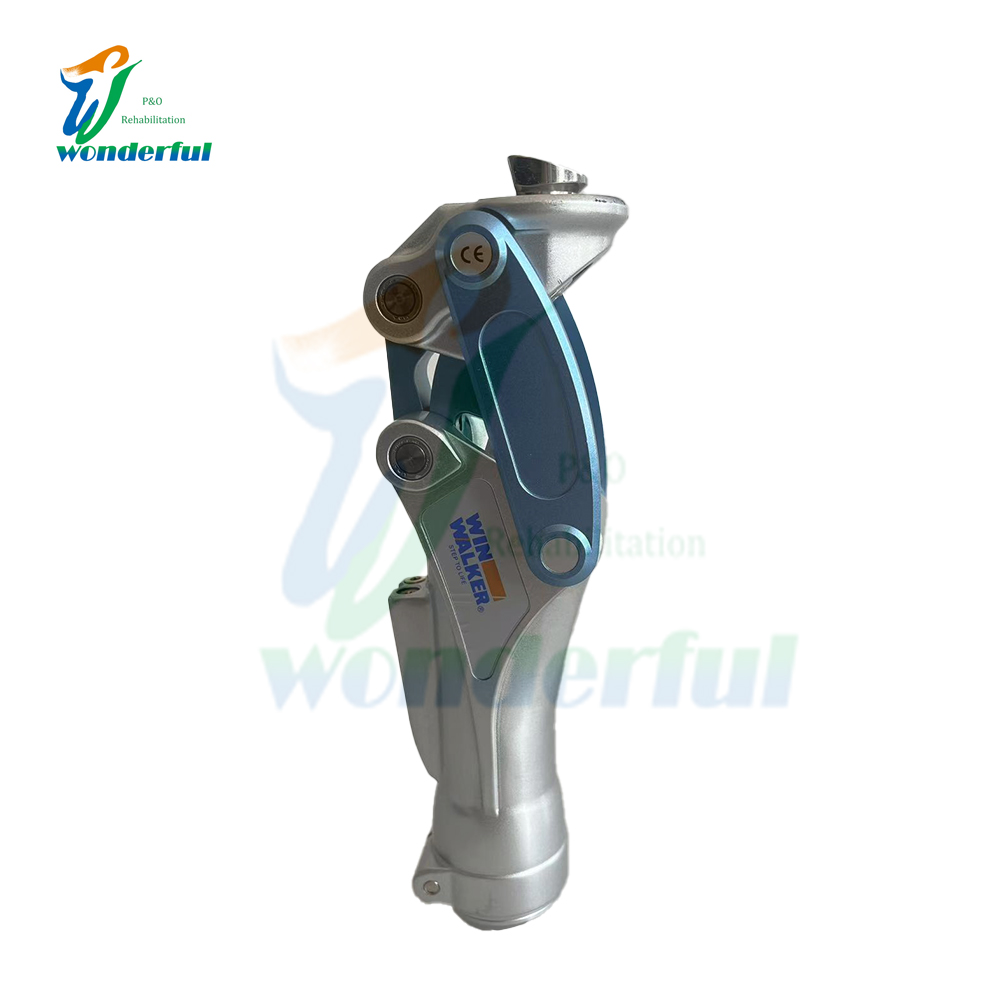 Pneumatic knee joint prosthetic knee joint
