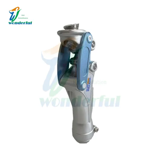 Pneumatic knee joint prosthetic knee joint