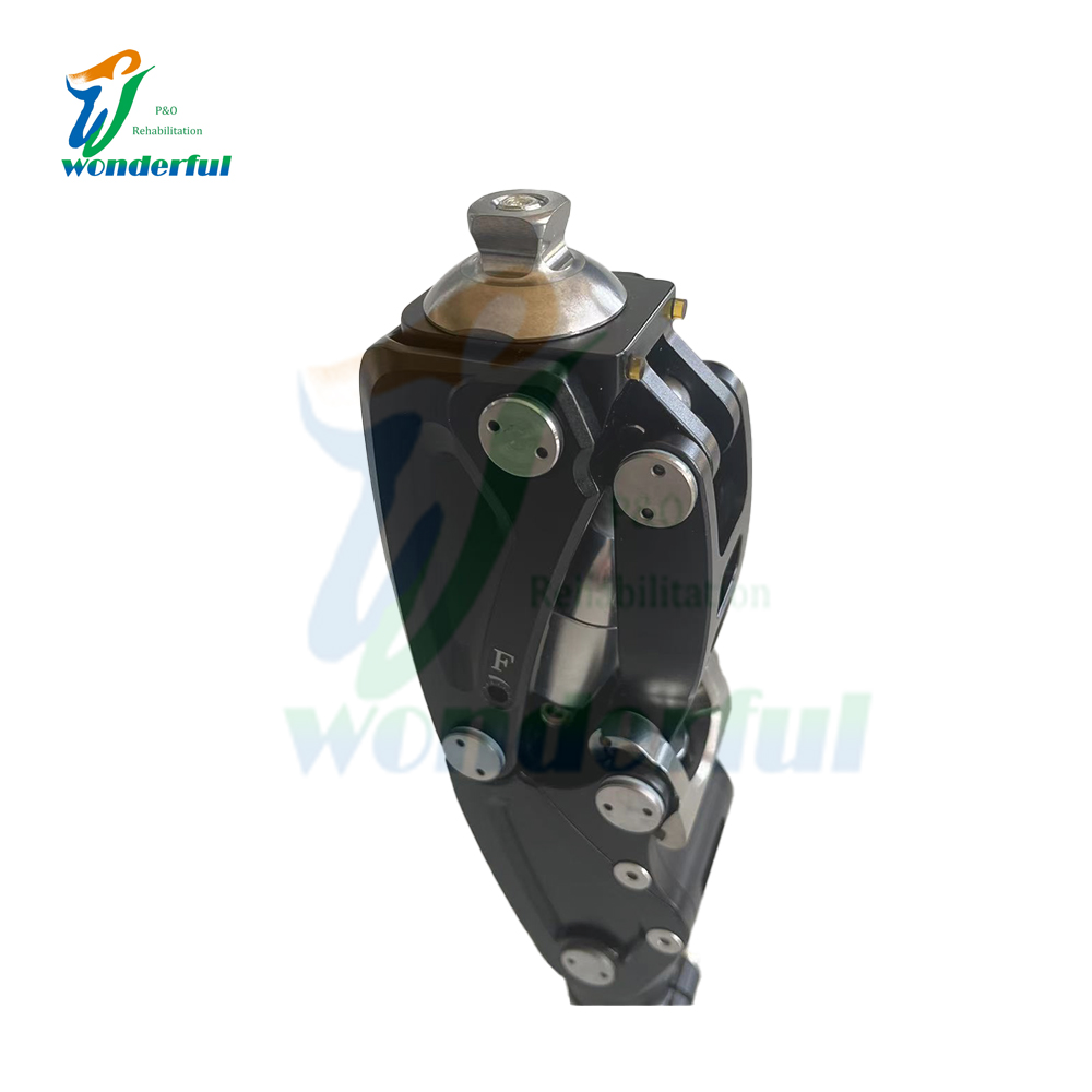 Hydraulic knee joint