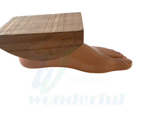 Different Types Of Prosthetic Feet And Their Functions