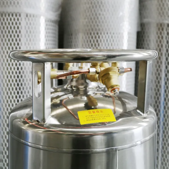 RFCC - Liquid Nitrogen Dewar Cylinder