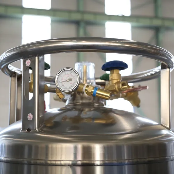 232L-1.37MPa Liquid Argon Dewar Cylinder - RFCC