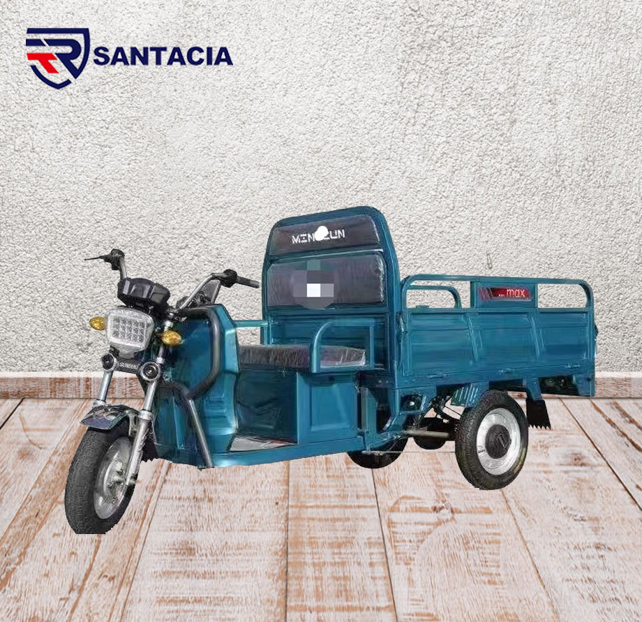 RPT-3 Cargo Tricycle